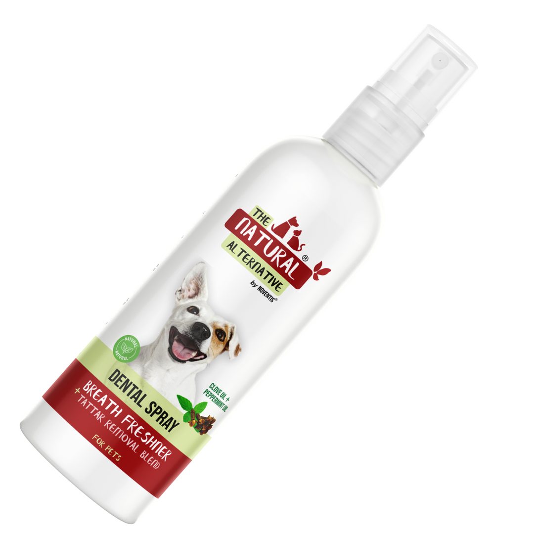 Noventis Natural Dental Spray Care 200 ml — Noventis Healthcare