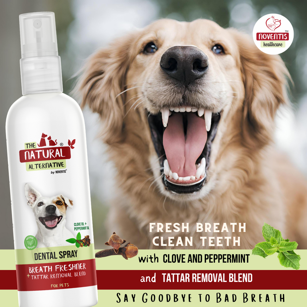 Noventis Natural Dental Spray Care 200 ml — Noventis Healthcare