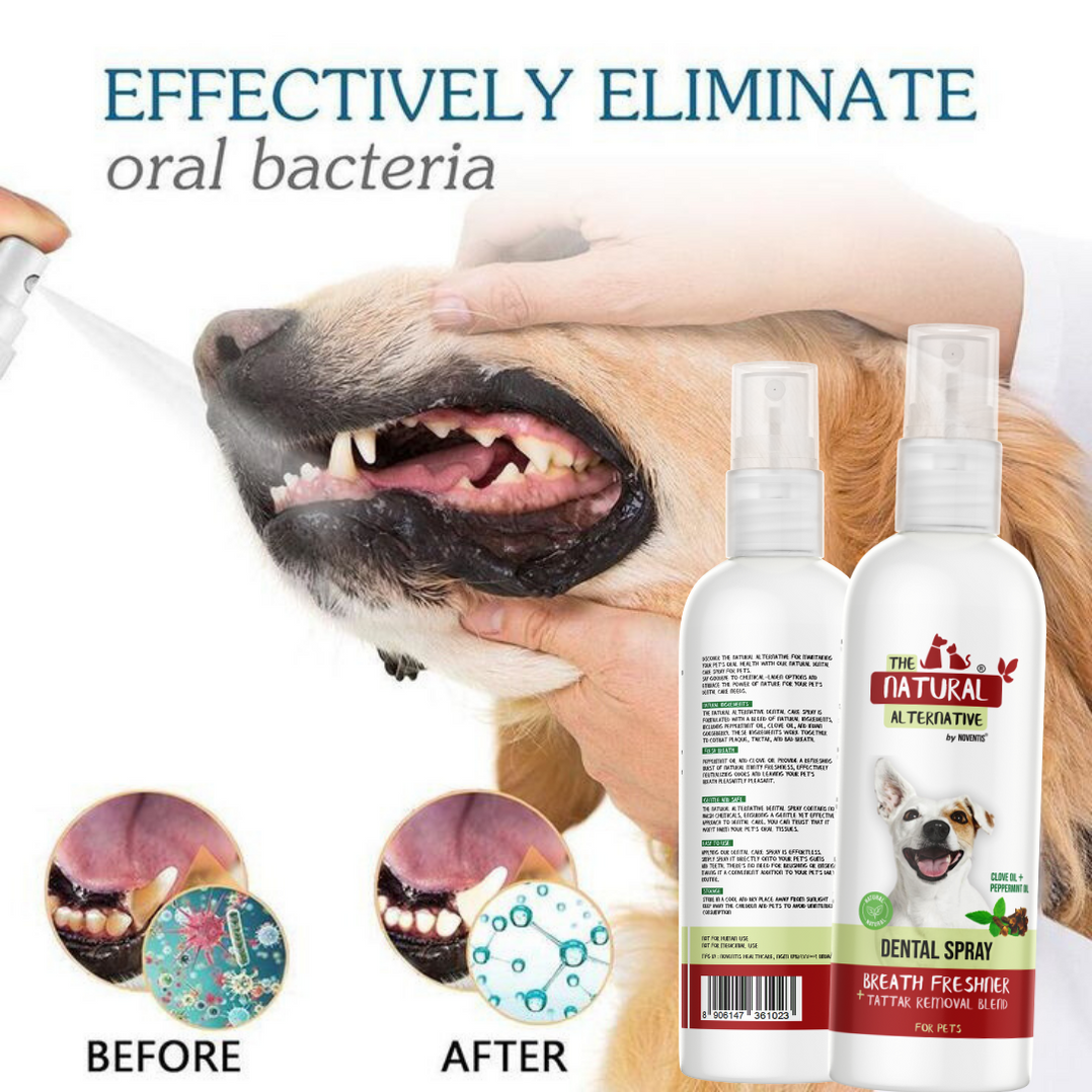 Noventis Natural Dental Spray Care 200 ml — Noventis Healthcare