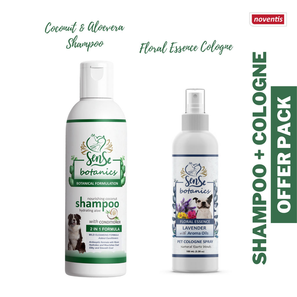 Sense Botanics Plant Infused Shampoos & More — Noventis Healthcare