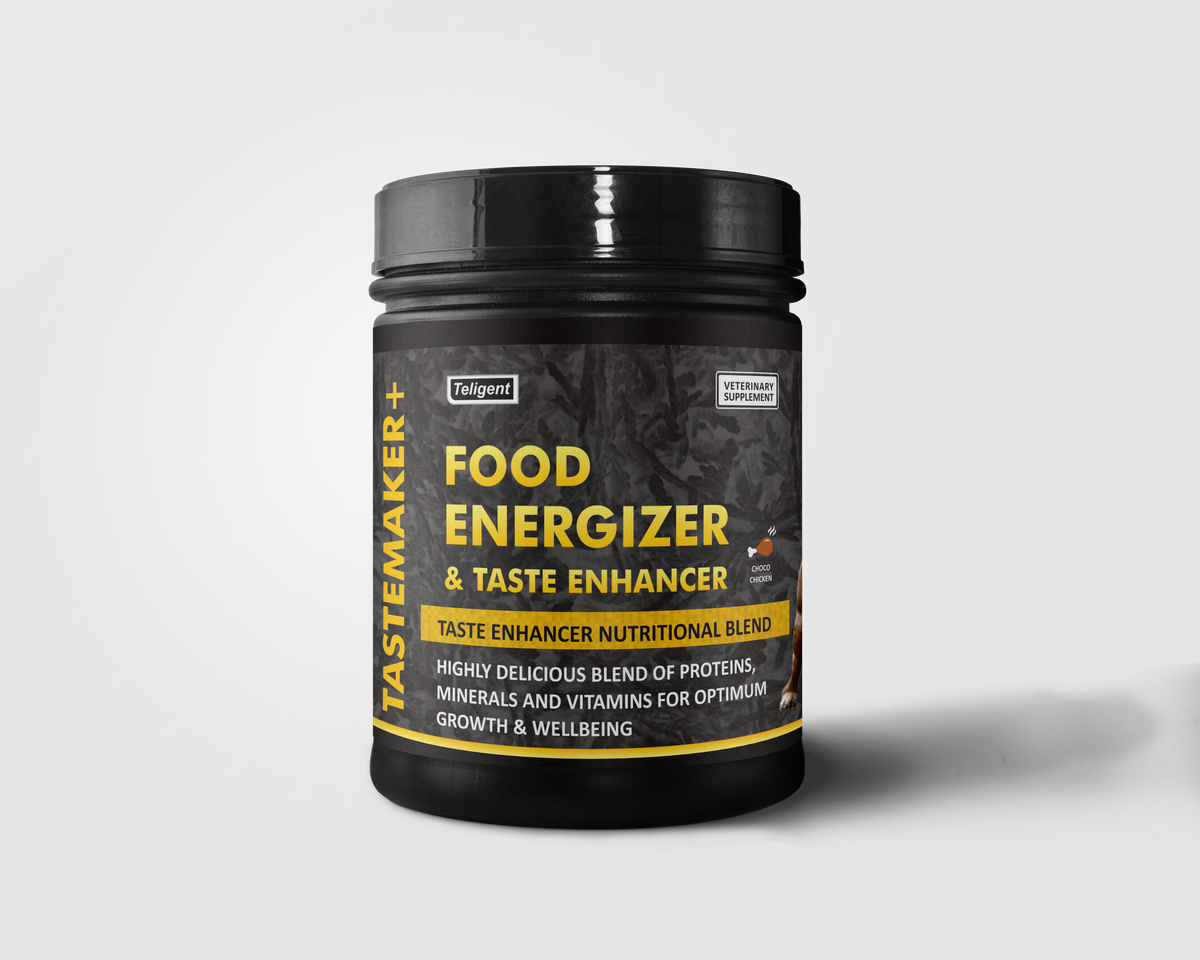Tastemaker + Food Energizer & Weight Gainer 400 gm — Noventis Healthcare